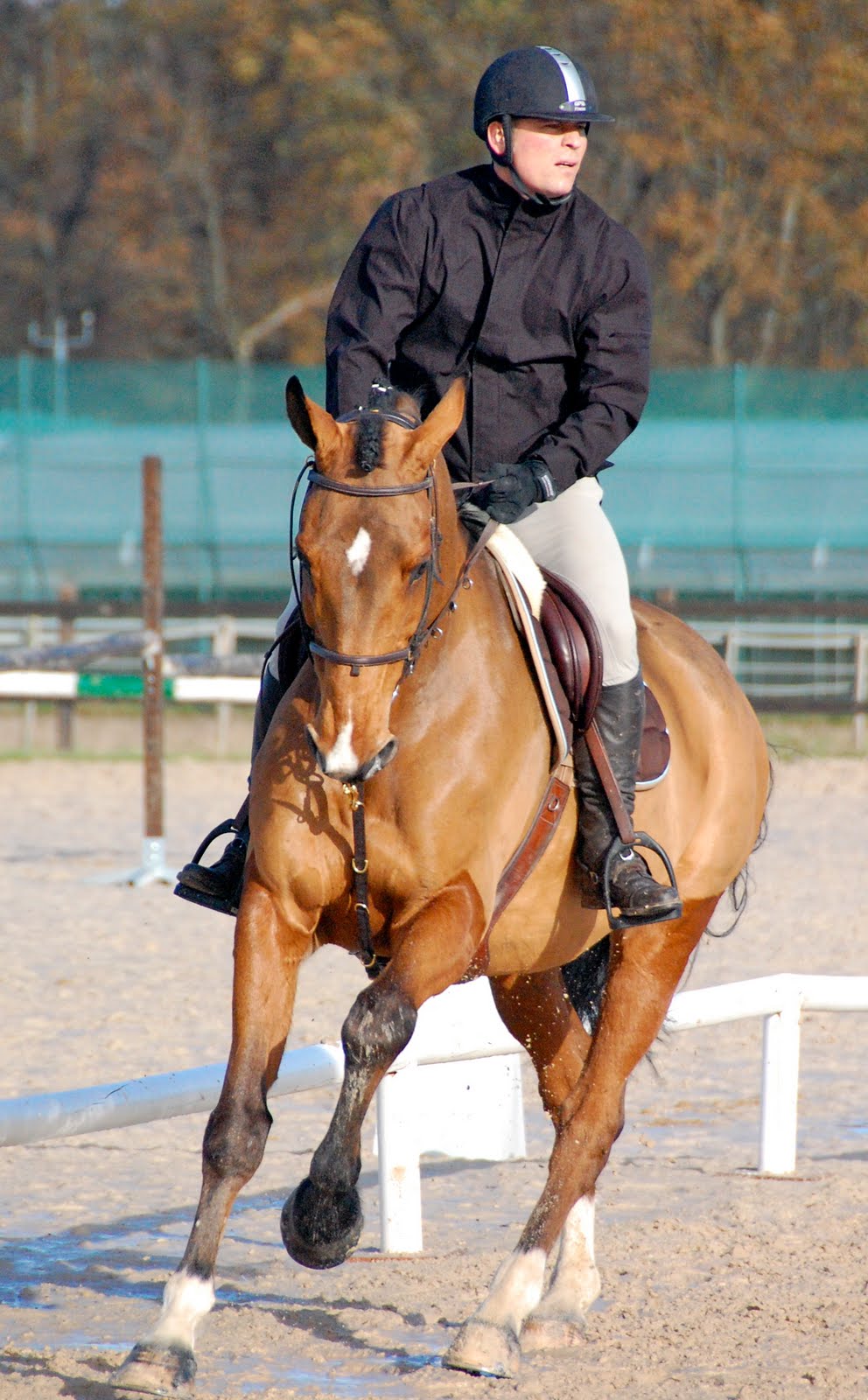 Photos: Concours de Dressage Milly la forêt
