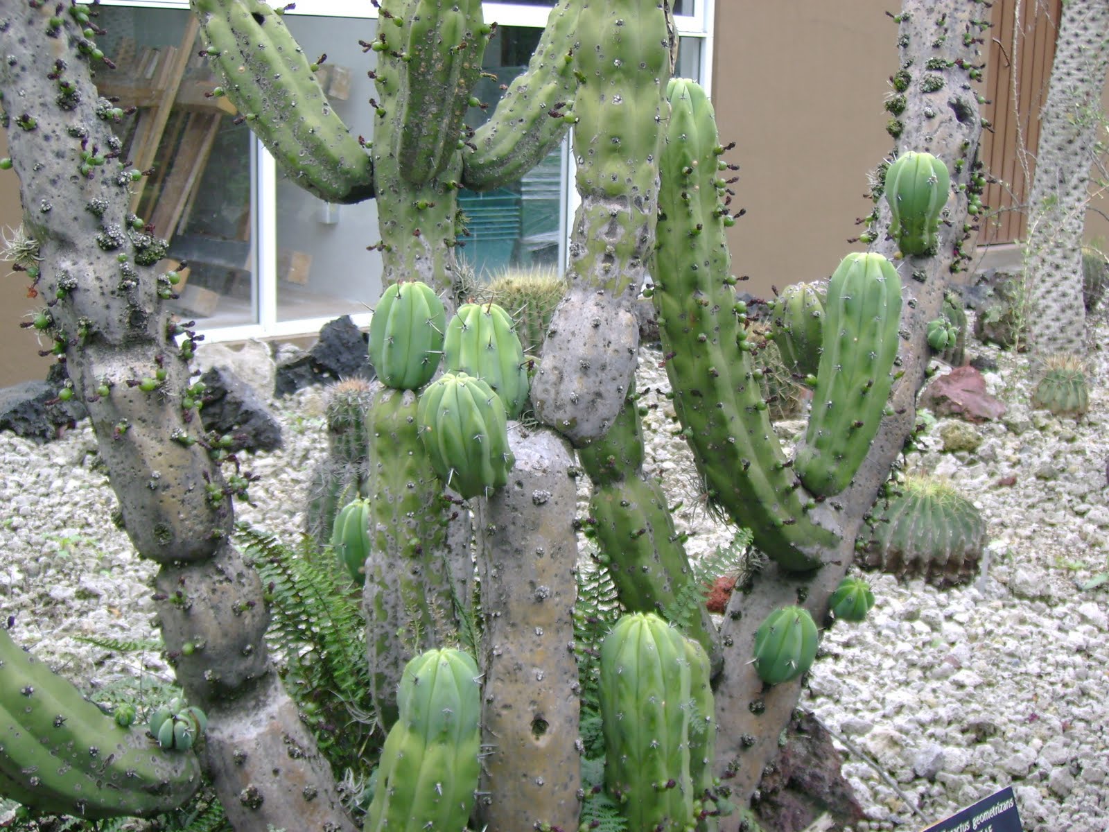 practica jardin botanico unam