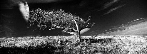 I Wrote This For You: The Ghost Farm