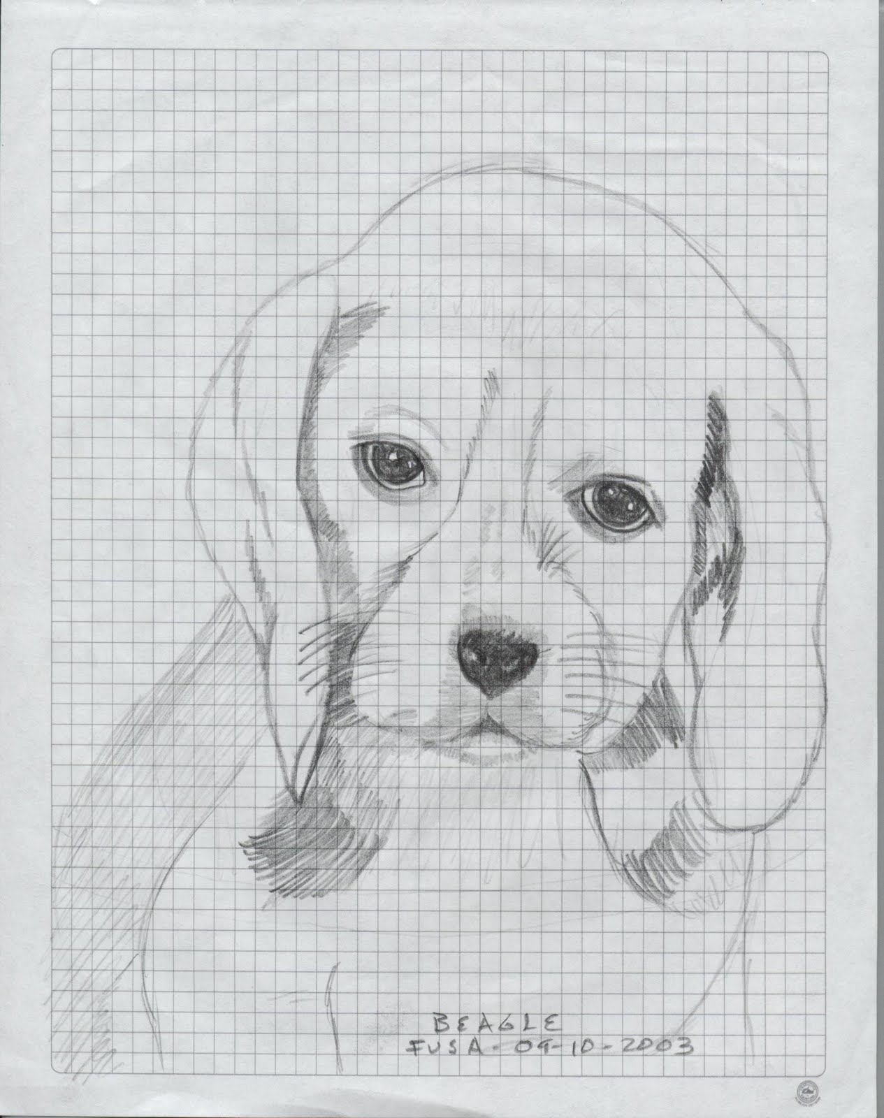 Dibujos a lápiz de perros - Imagui