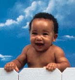 university task: MICHAEL JORDAN