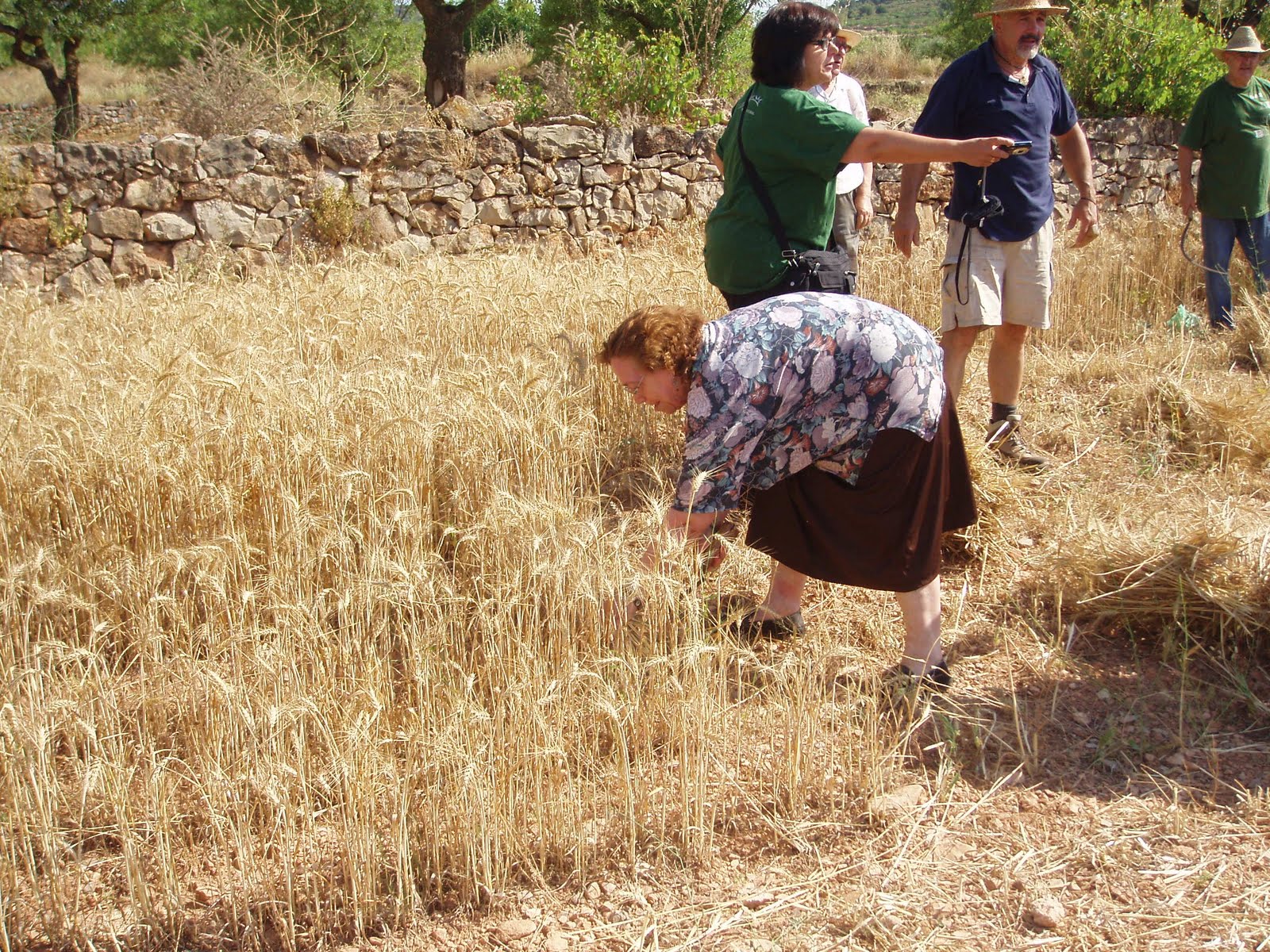 A.C. Virgen de la Salud - Jaime I de Alcublas: " L A SIEGA"