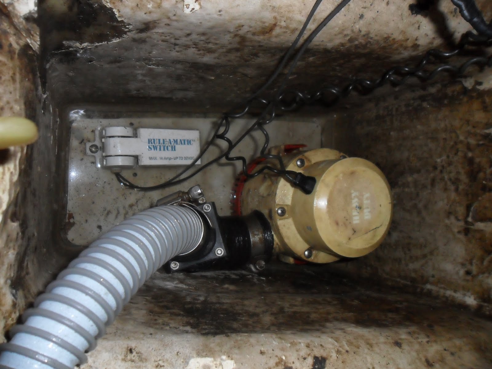 Firulete: Ainda em Salvador