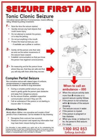 Seizure First Aid Poster