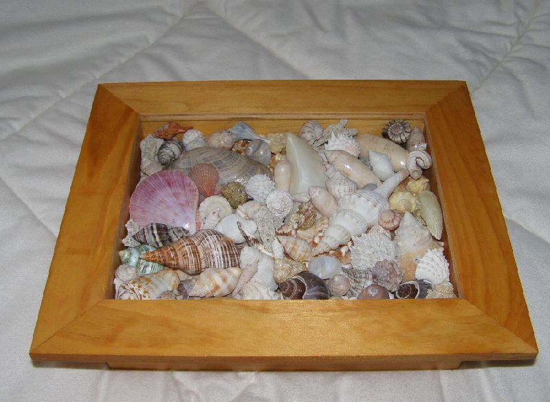 Queenie's Beads: Shells - Part 2