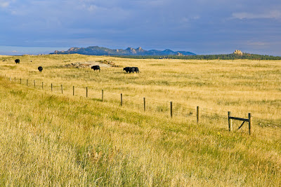 Dean's Travel Blog: The Great (American) Plains