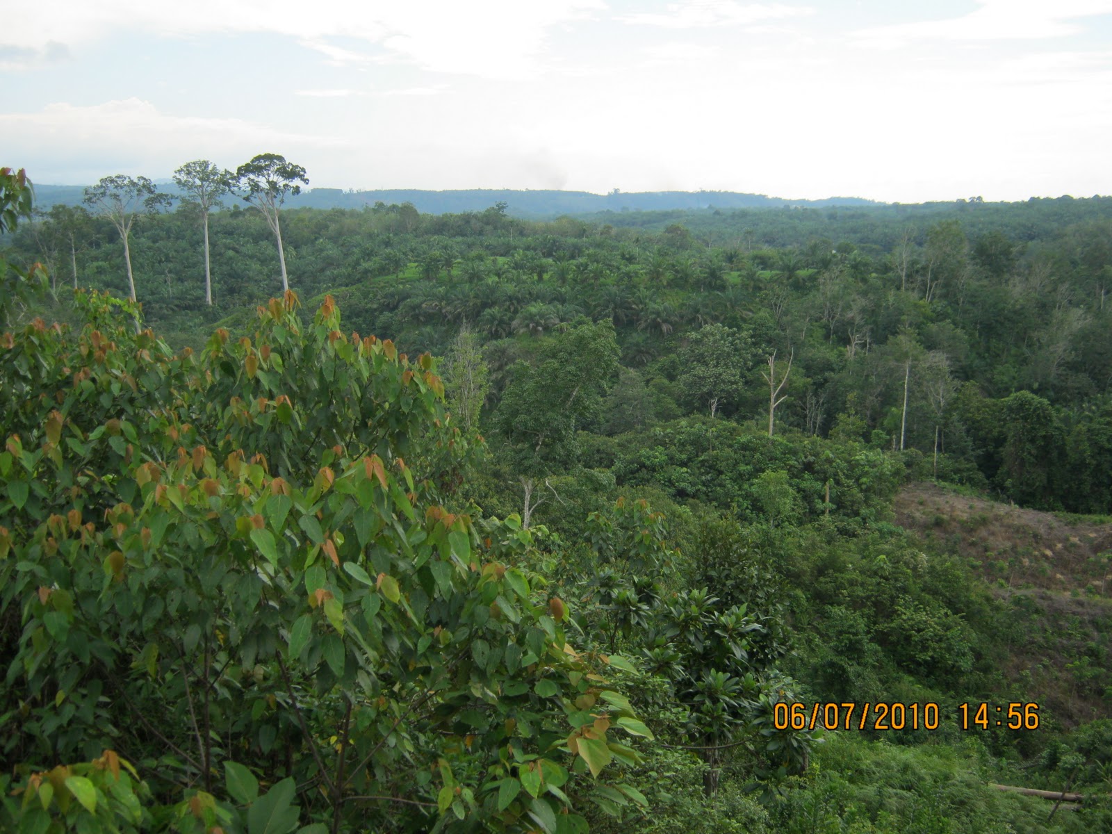 Suaka Margasatwa Dolok Surungan