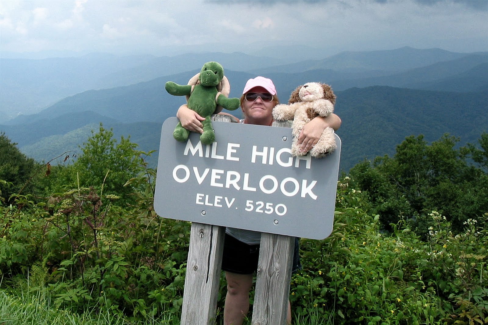 Adventures in the Big Green Turtle: Blue Ridge Mtns & the Smoky Mtns