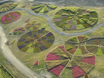 Econexos por Ecomeninas: Earth Art - Earthwork - Land Art