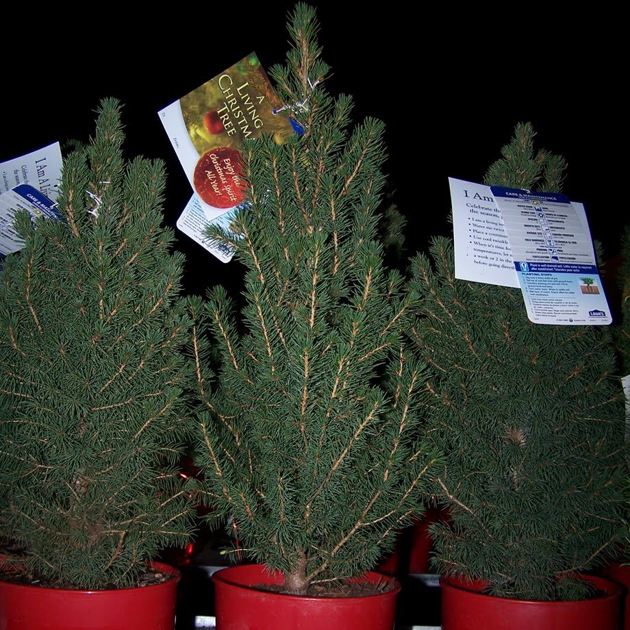 ECO Committee ASID San Diego