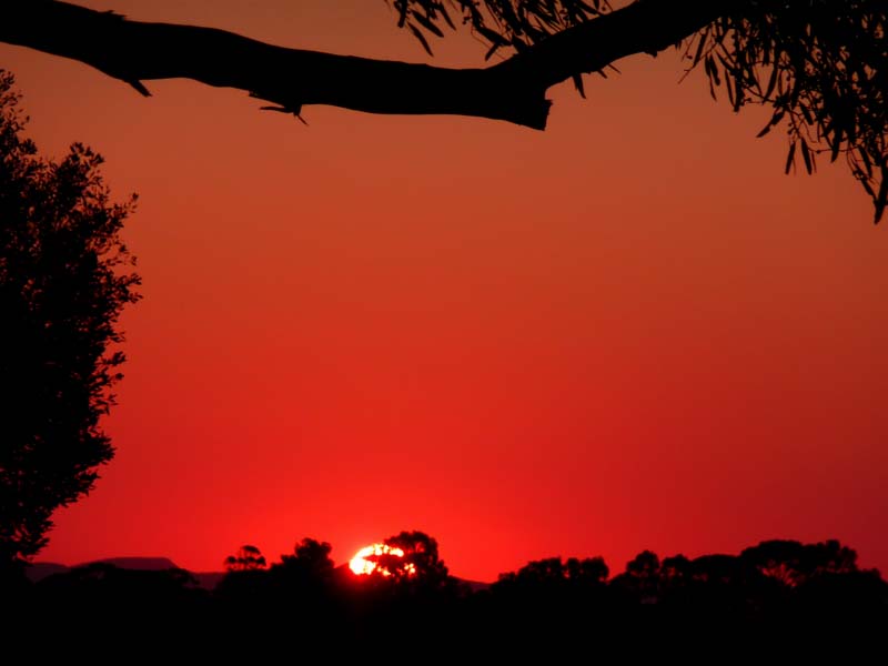Alex and Bob`s Blue Sky Scotland: Whyalla.South Australia.