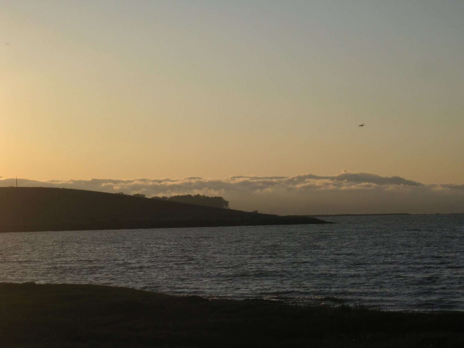 Stumbling Toward Fitness: San Francisco Bay Trail: Ryder Park, San ...