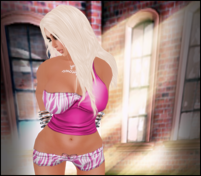 The SL Toolbox Chicks: BOMBSHELL!