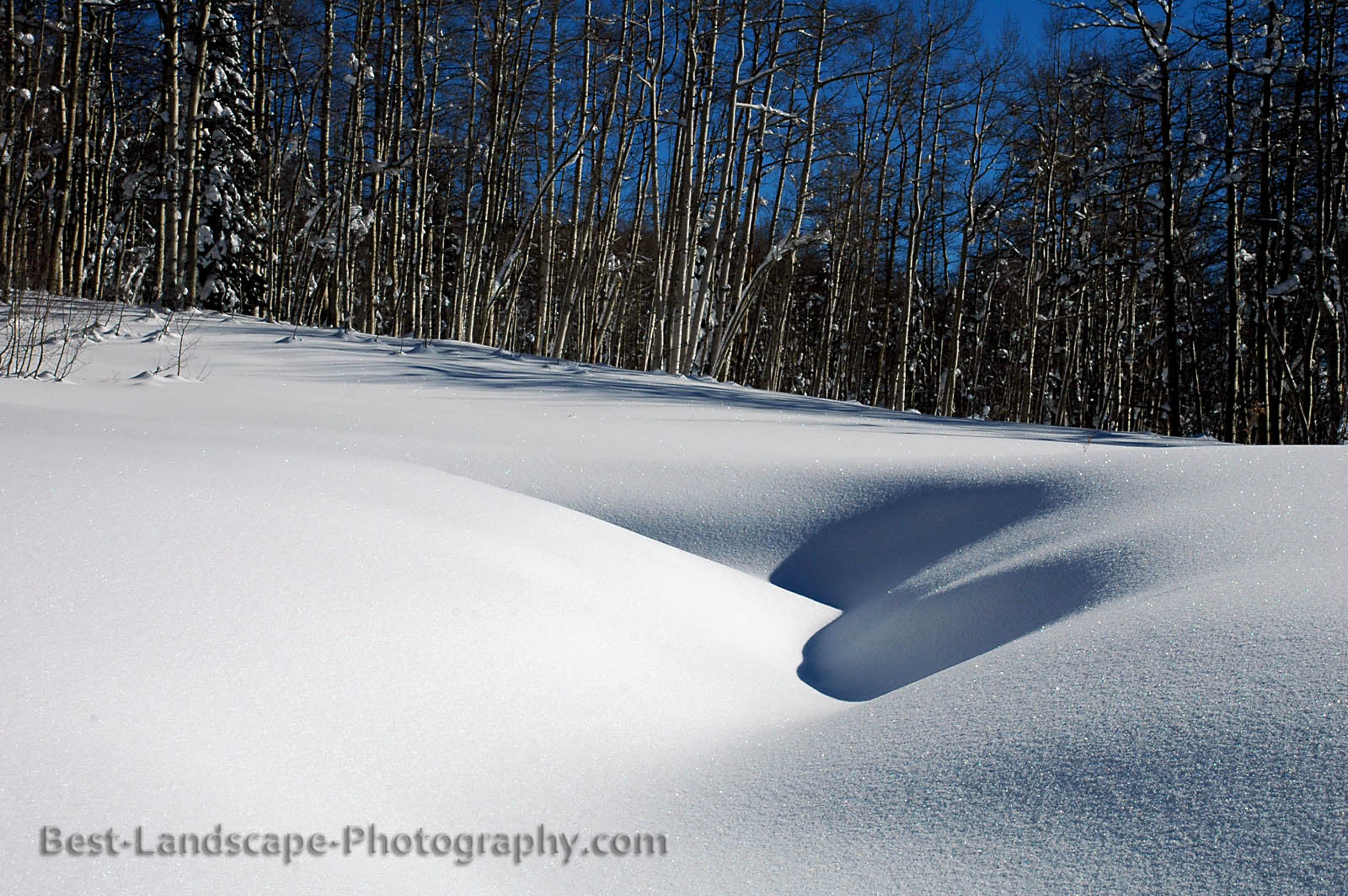 Landscape and Nature Photography: Snowscape in both color and black & white