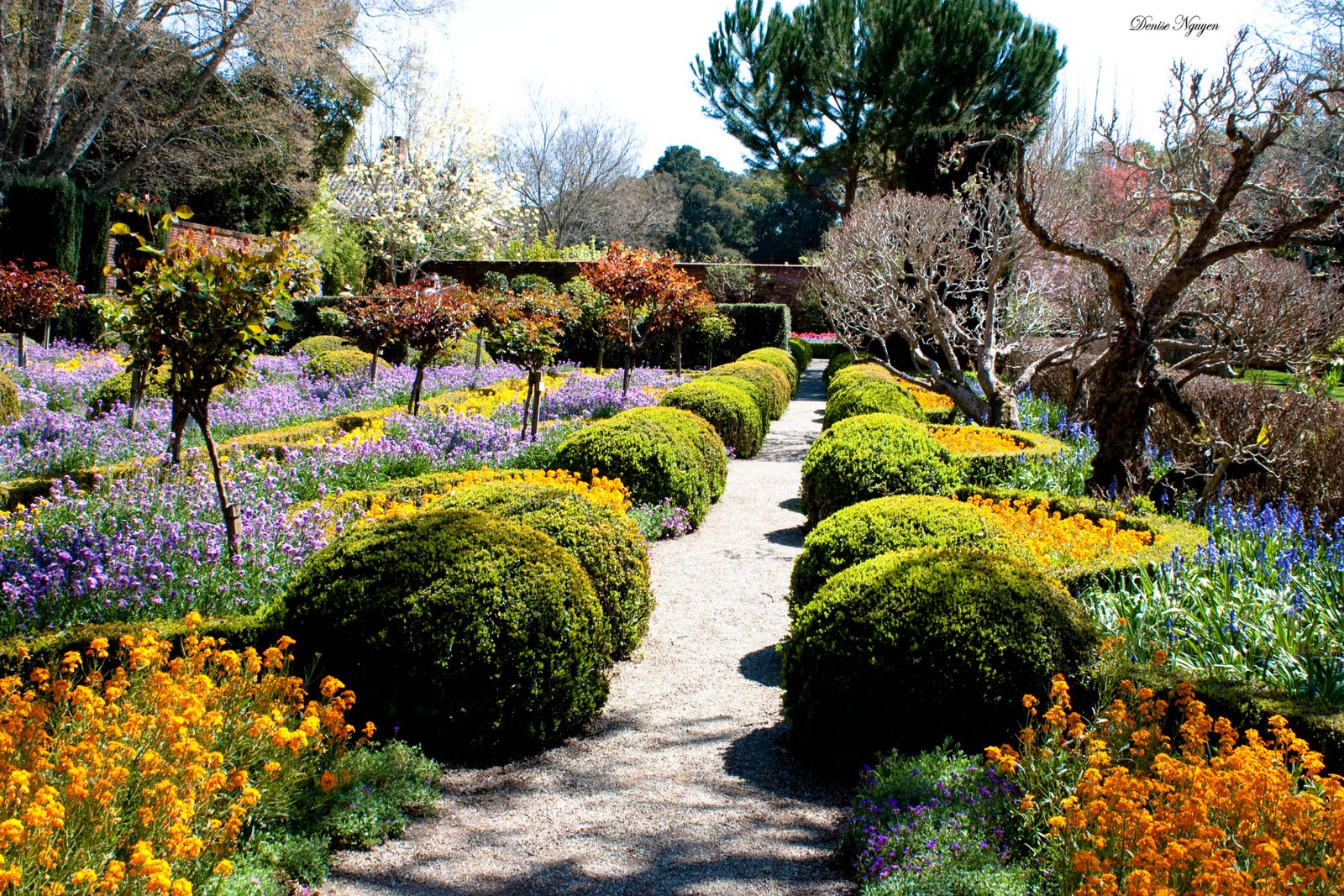 Denise Nguyen Photography: Filoli Garden, CA