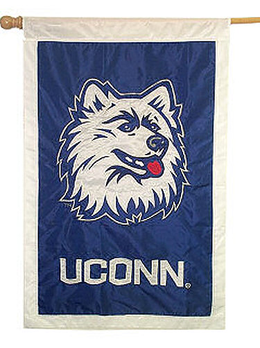 TexanMark's Tailgate Guides: Connecticut Tailgate and Visitors Guide '09