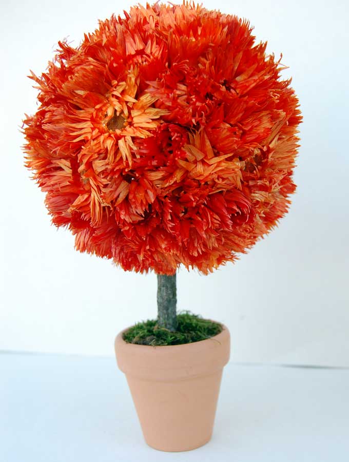 florasense: Ruduo. Autumn