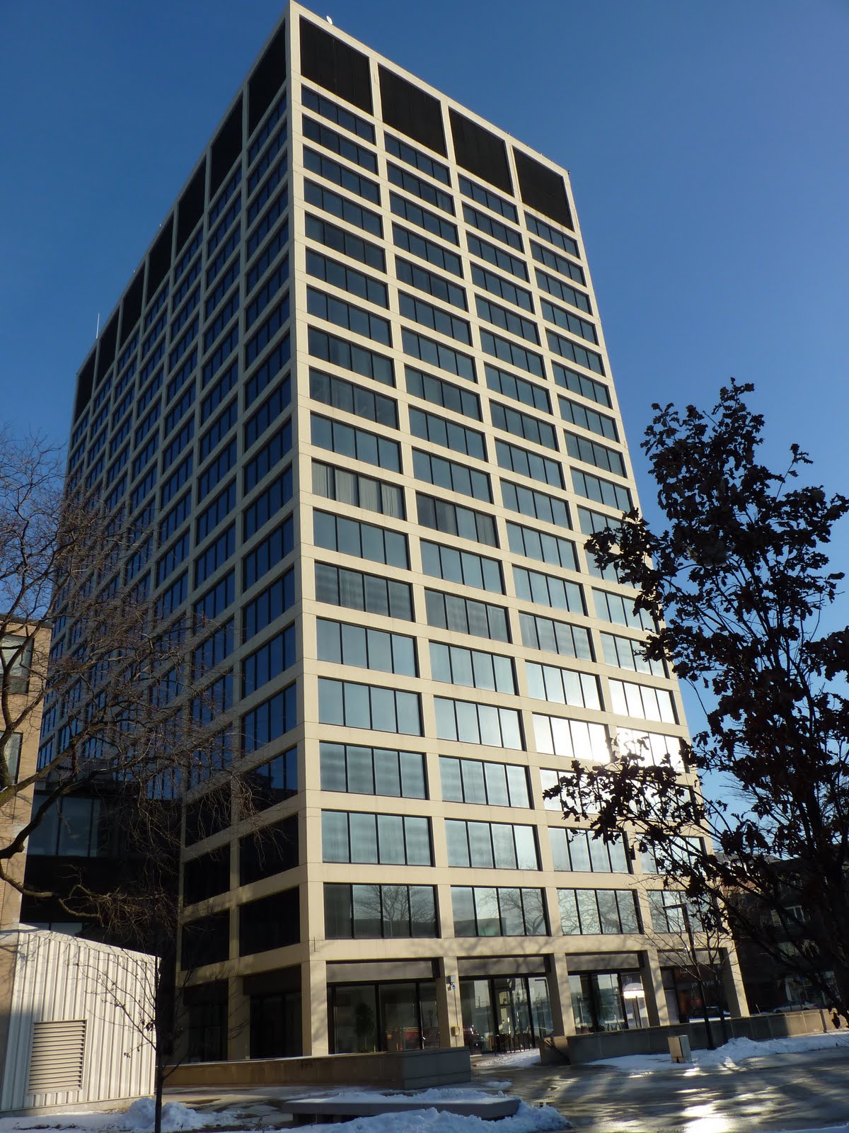 Me and My Panny: Illinois Institute of Technology Chicago