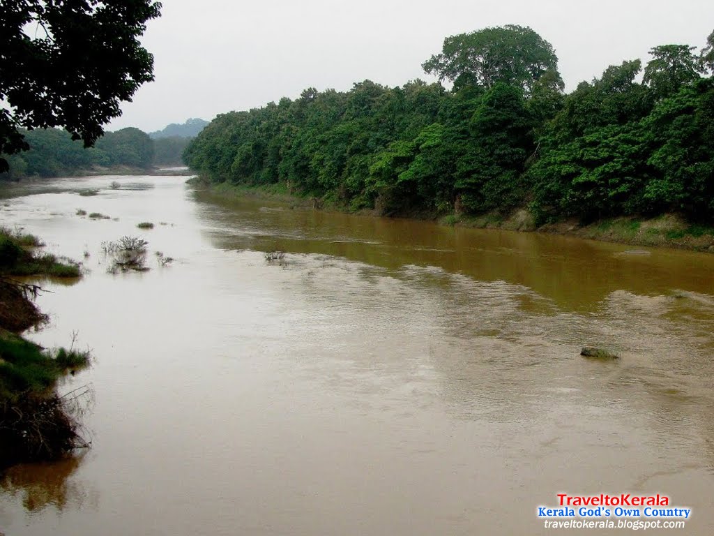 Day Out Kerala: Chaliyar River
