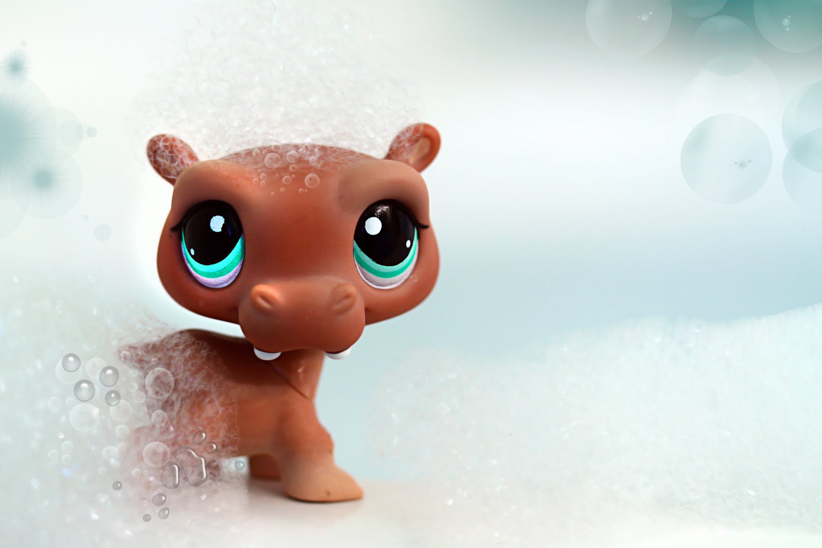 Tématizované LPS fotky-zima :: ♥Littlest pet shop♥