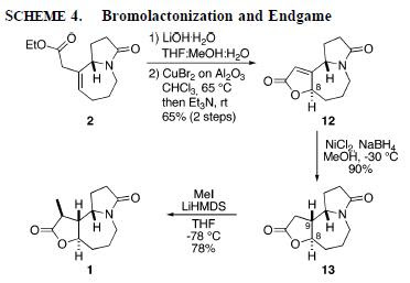 Journal Article Reading (B)Log: Total Synthesis of (-)-Stemoamide