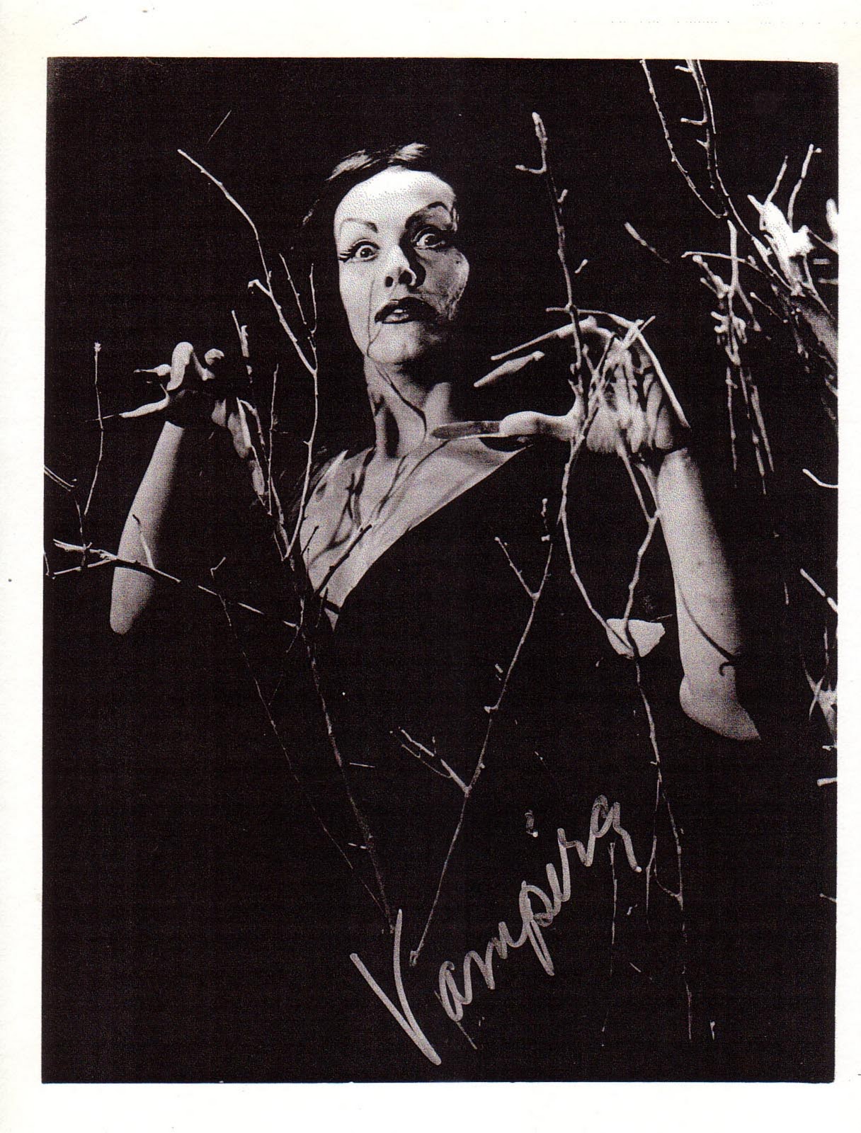 and everything else too: Signed, Vampira