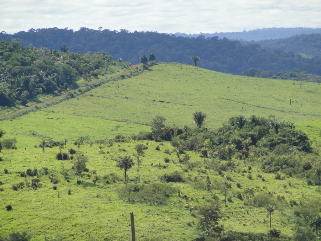 Bem Vindo!!! Prefeitura de Apuí: Prefeito de Apuí se reúne com ...