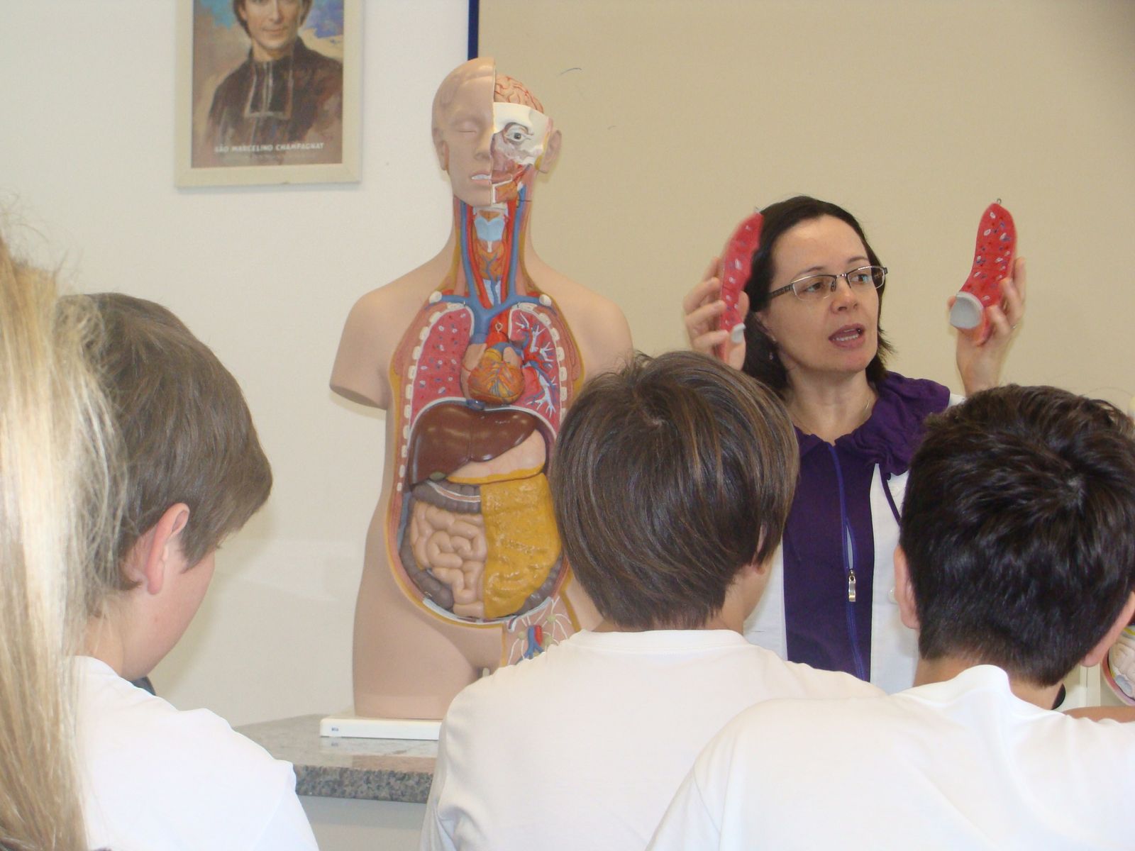 8ºs Anos estudando o Corpo Humano | LABORATÓRIO DE CIÊNCIAS MARISTA