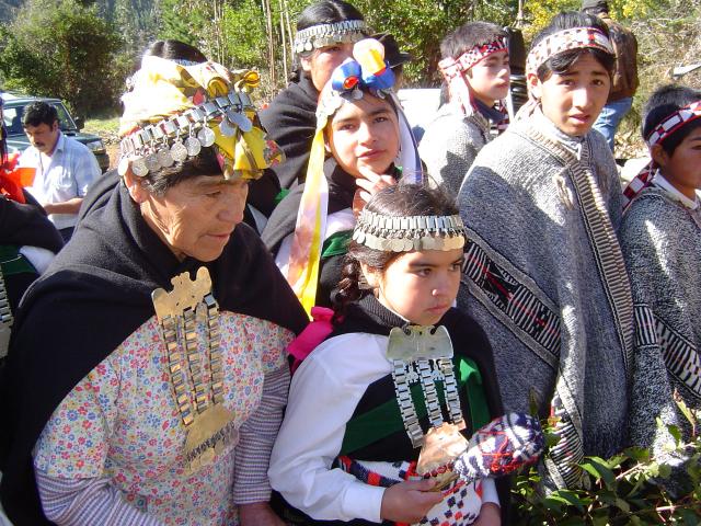 trabajo-historia: Pueblo Mapuche