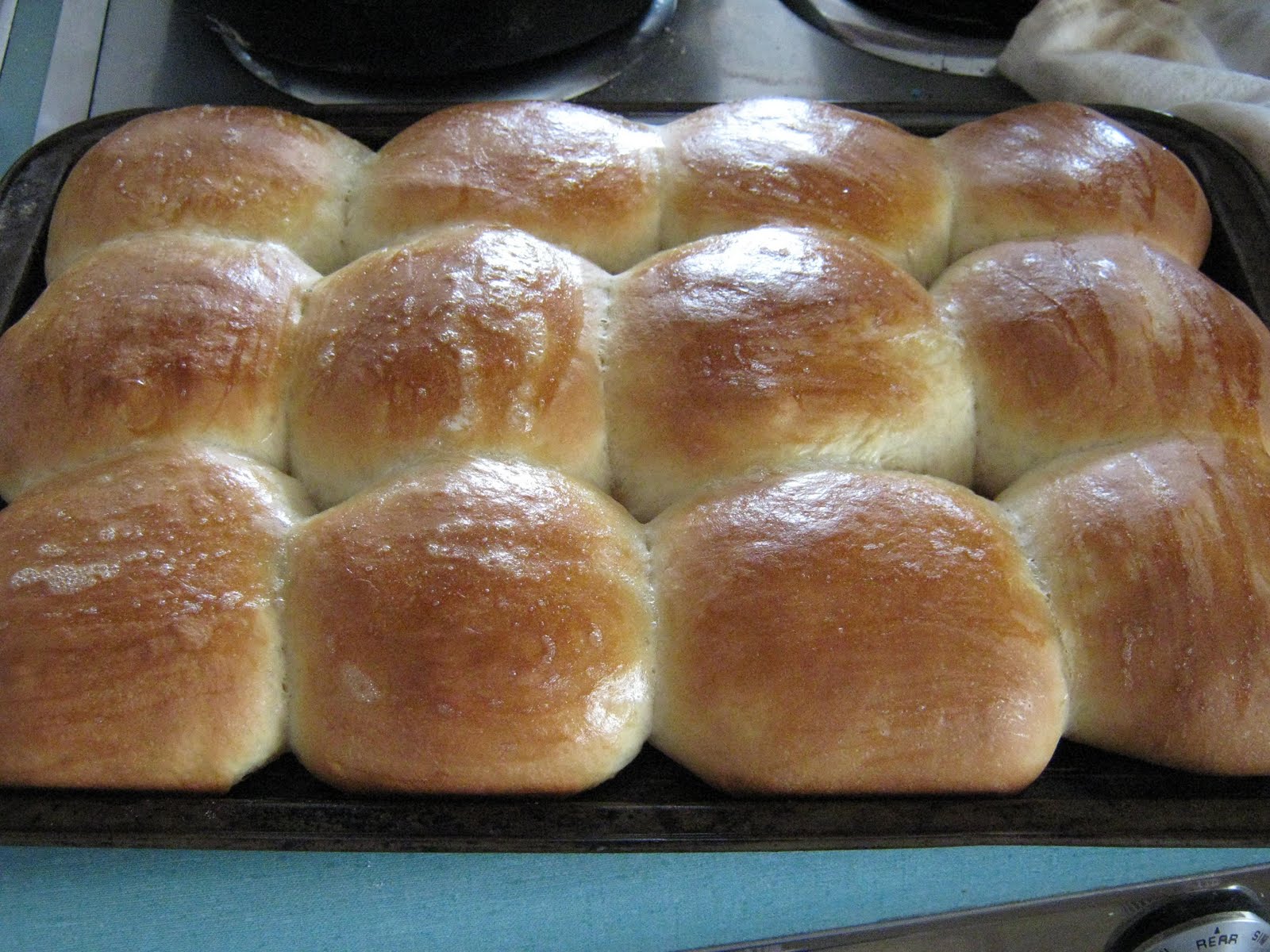 Life With The Suttons: My Buns finally Raised!