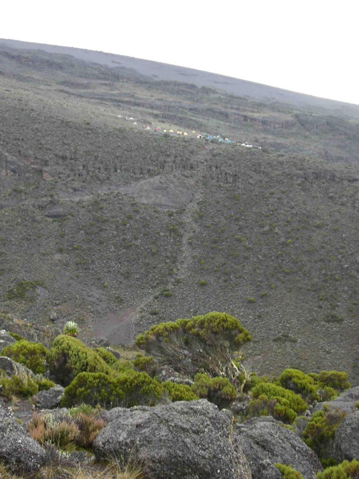 Kilimanjaro Trek, Shira Route - Day 5 (Lava Tower Camp to Karanga ...