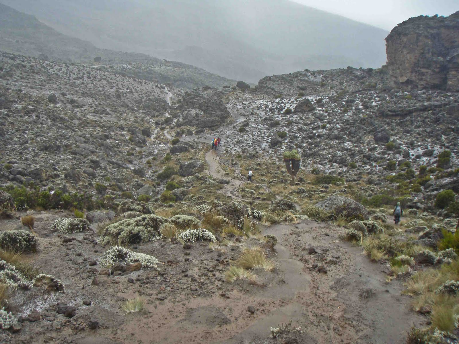 Kilimanjaro Trek, Shira Route - Day 5 (Lava Tower Camp to Karanga ...