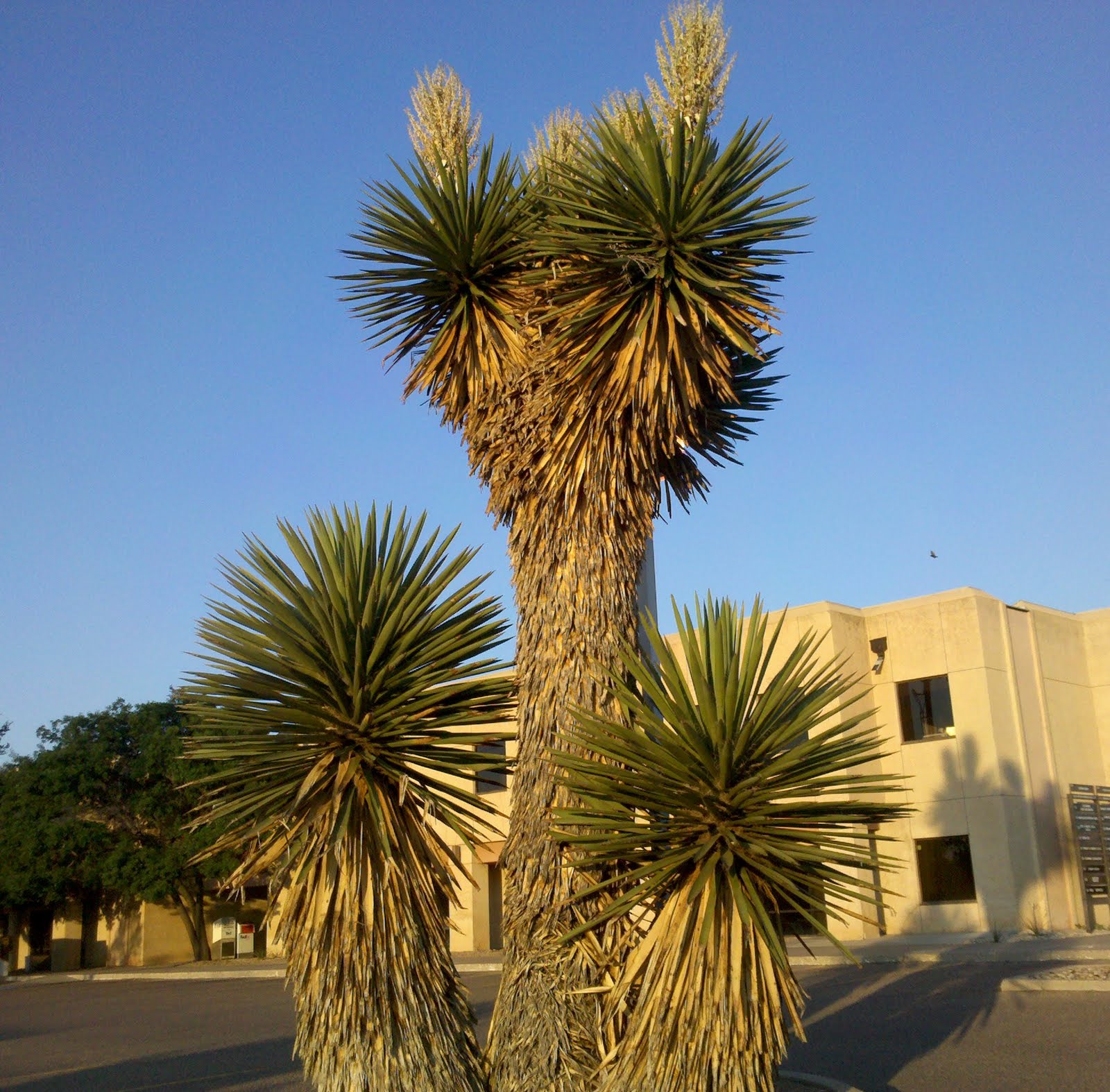 Notes From the Observation Deck: May 2010