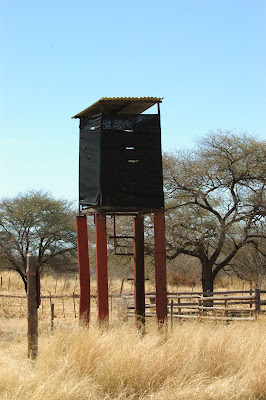 Nebraska to Namibia: from Sandhills to sand dunes: A bit about poaching ...