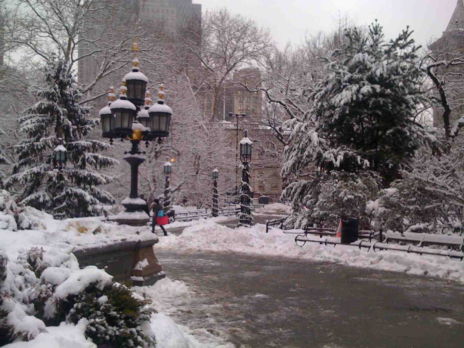 Sense & the City: SIGHT: City Hall Park in the snow at dusk