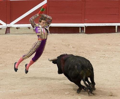 funny: Bull Fighting With Man