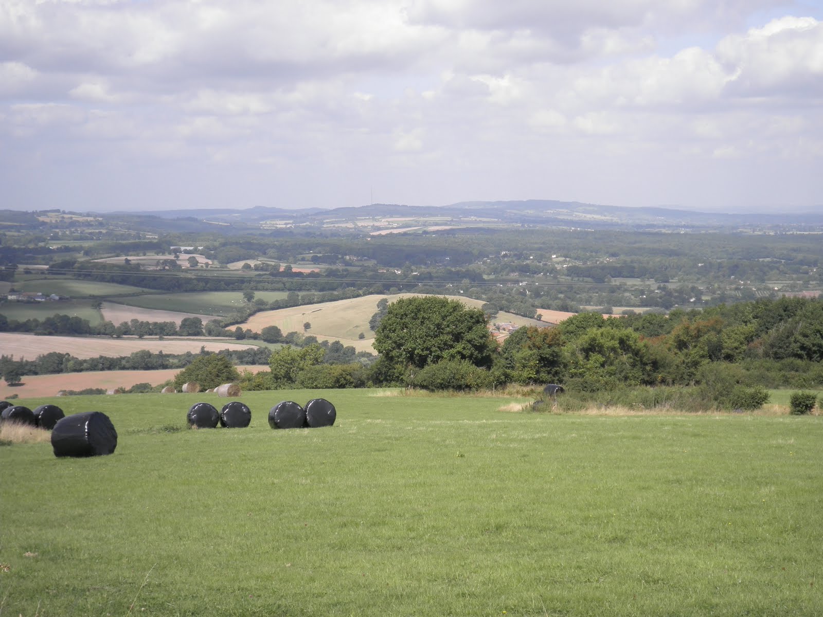 Anne Bartlett the Gloucestershire Tour Guide: Exploring May Hill ...