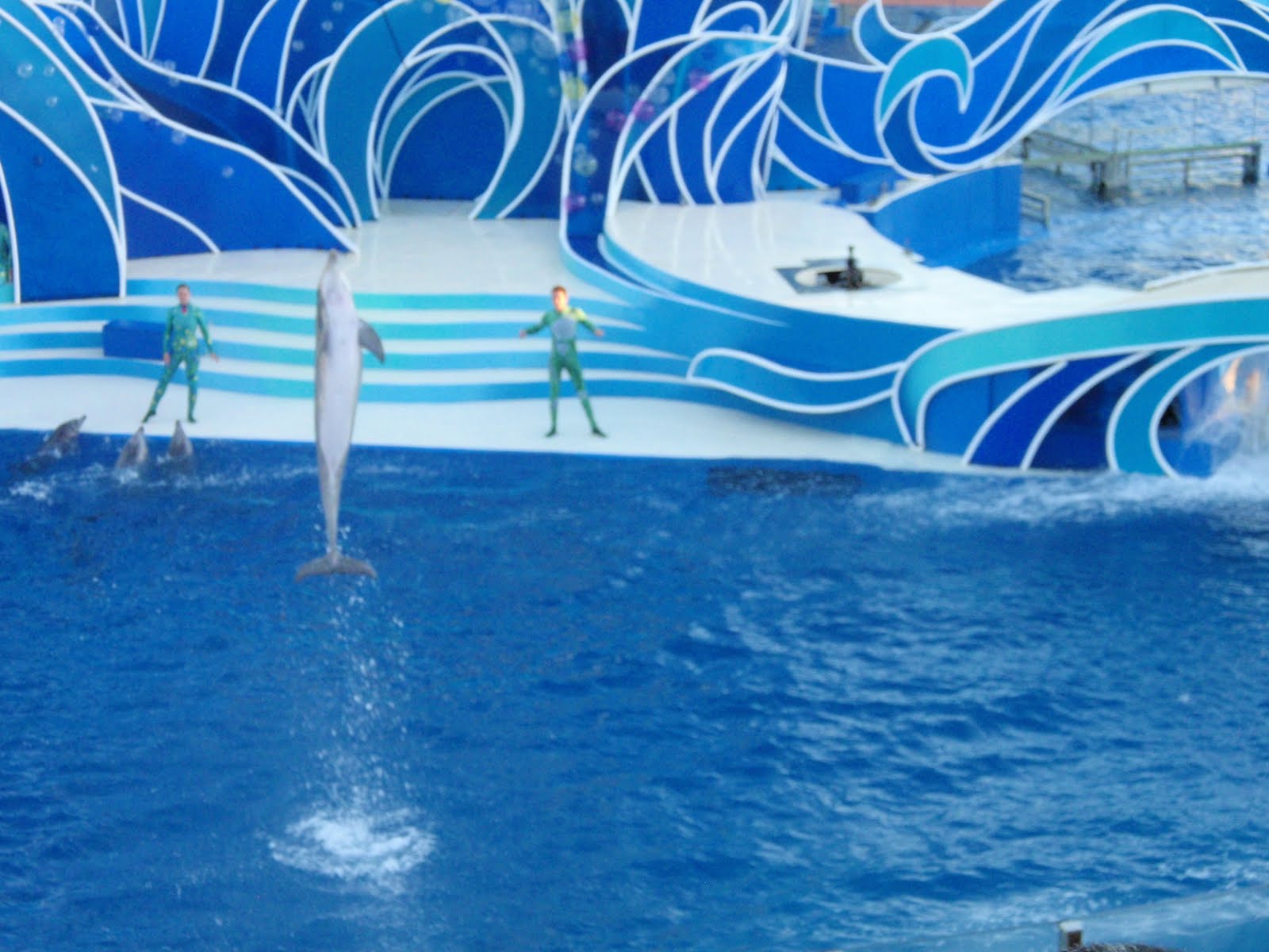 A Day in the Life of a Kearney: Cameron's California Adventure