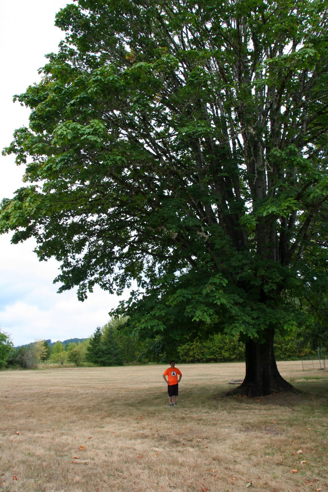 This is how I see the world.....: Makin memories......those were the ...