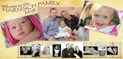 The Harnisch Family: About our blog