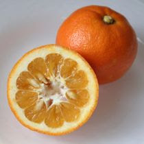 Bombalabla: Bitre appelsiner-søt marmelade