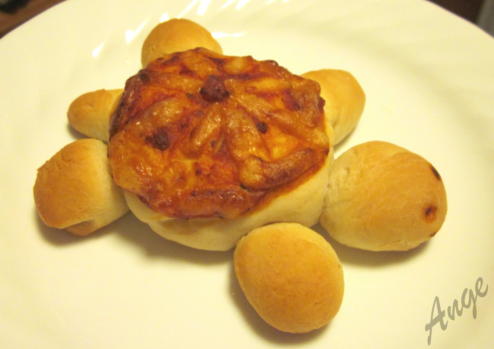 ~The Daily Turtle~: #14 Pizza Crust Turtle