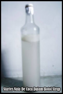 PUJI LESTARI: Nata De Coco