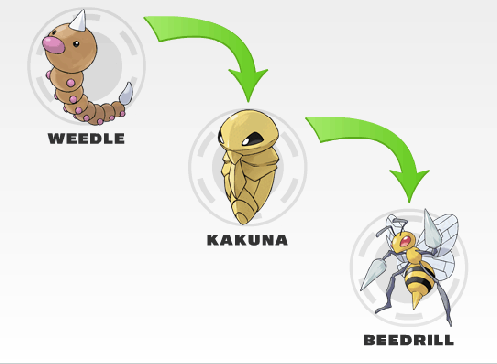 Pokémon: Weedle,Kakuna e Beedrill