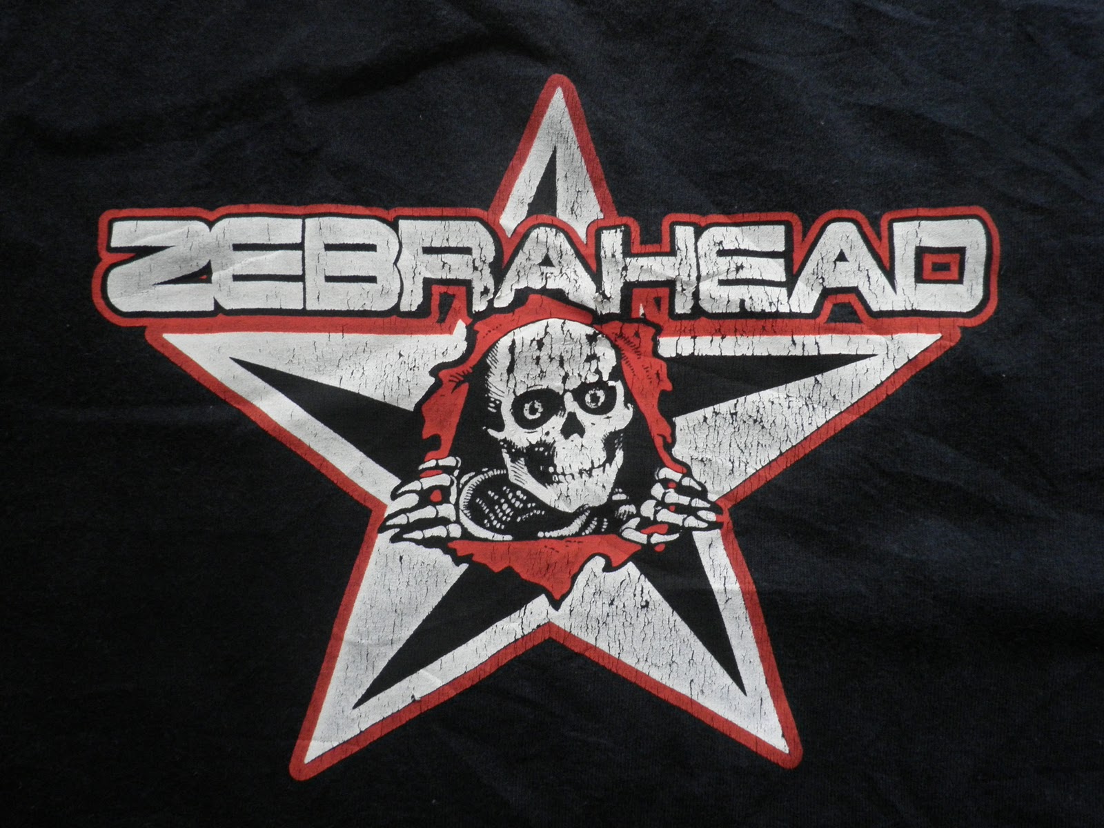 ZebraHead Band Tee | CariBundle