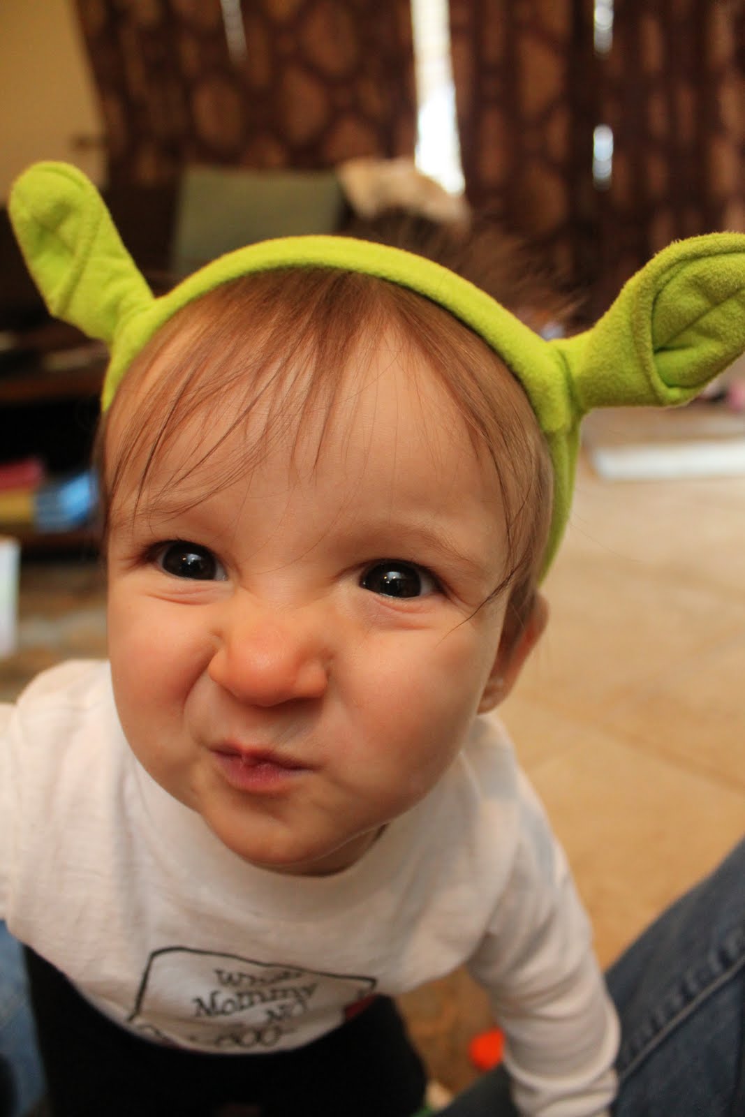 The Seed of Mike: Shrek Baby