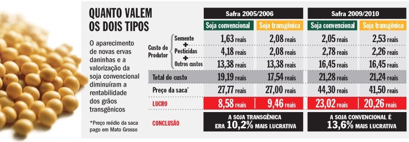 professorando: Soja transgênica