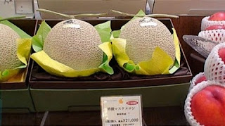 World’s Top 10 Most Expensive Foods | Arabic Food Recipes