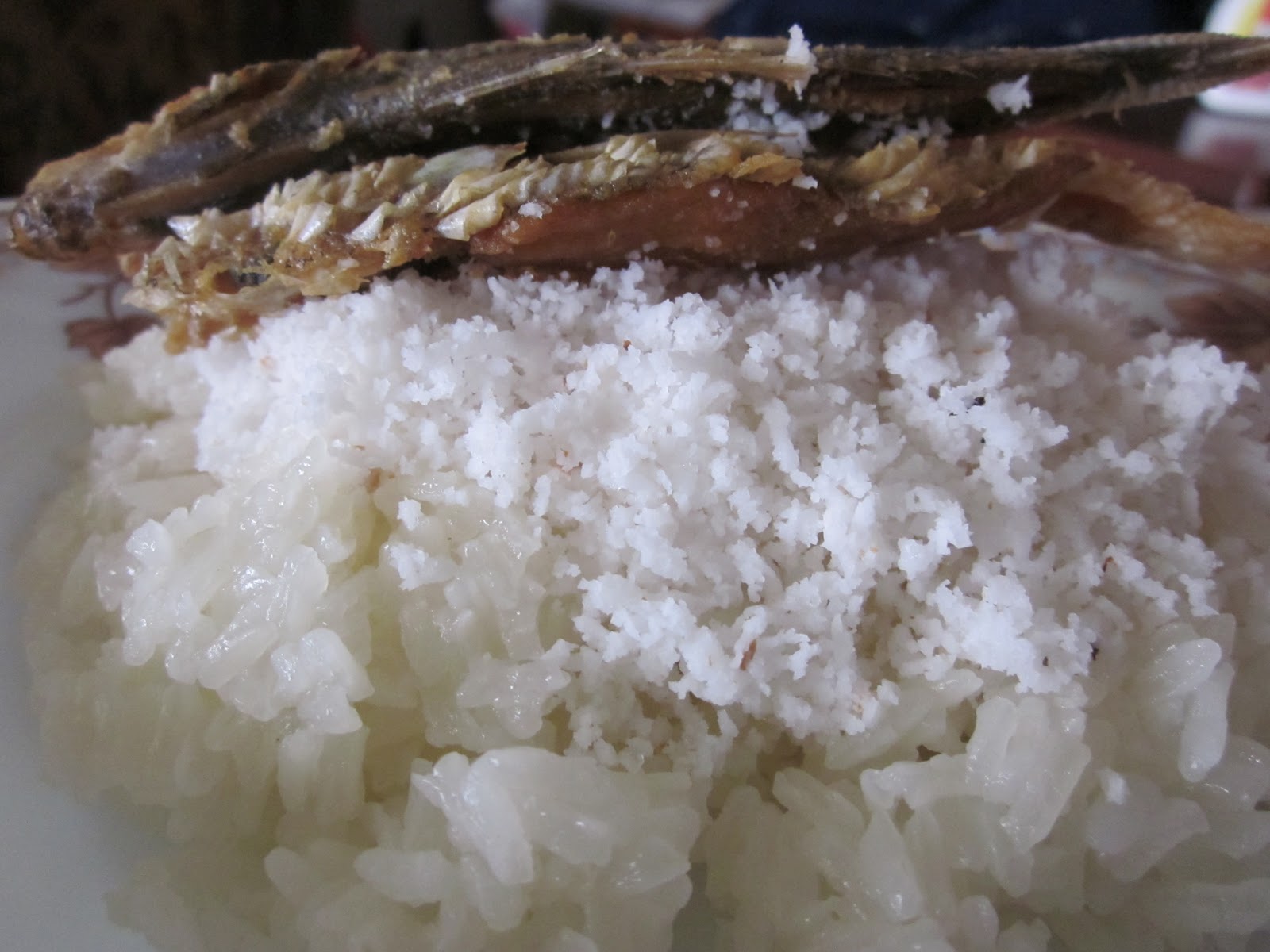 :: BiNgKiSaN KeHiDuPaNKU ::: Pulut Gaul Nyiur (Kelapa)