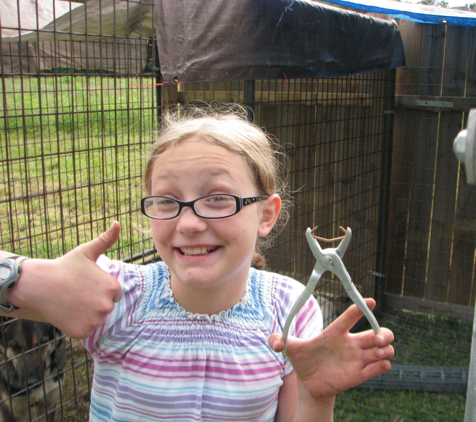 Diamond Dogs Racing : Kennel Building Part 2